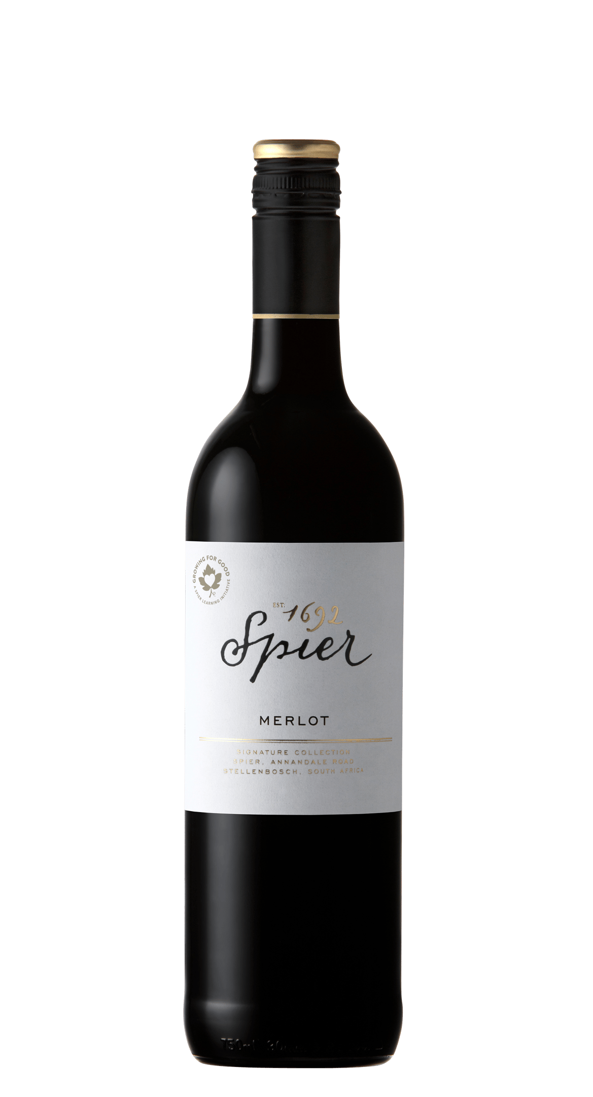 Buy Spier Signature Collection Merlot 2022 online | Honest & Rare