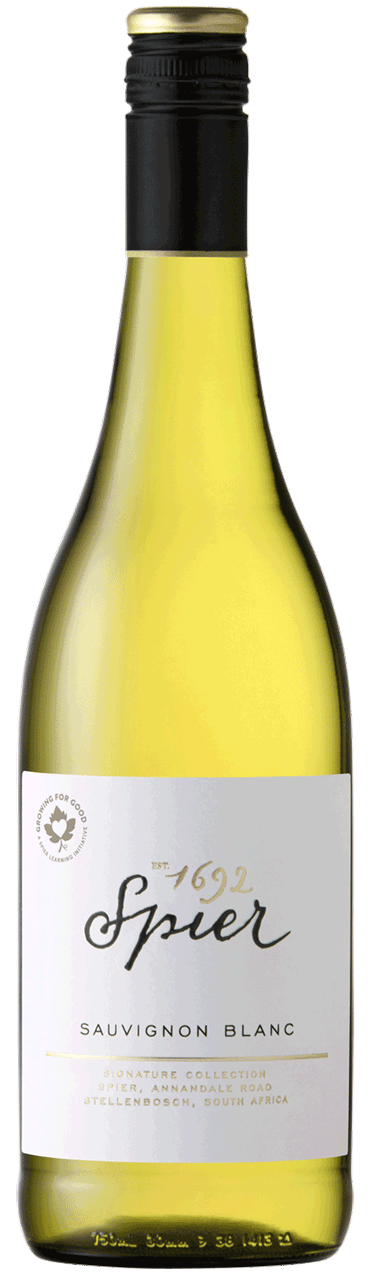 Buy Spier Signature Sauvignon Blanc online | Honest & Rare
