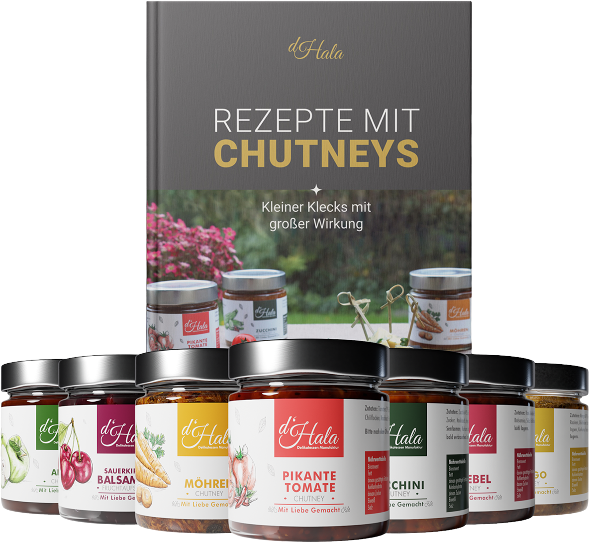 Buy DHALA Chutney Recipe Book Set | Honest & Rare